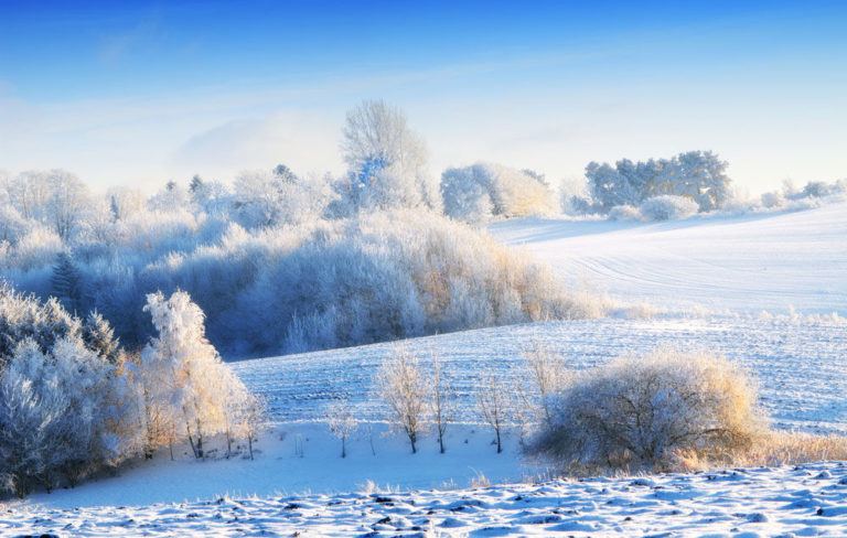 Policy Brief #2017-01 Le Winter Package : quelles ambitions pour quelle ... Policy Brief #2017-01 Le Winter Package : quelles ambitions pour quelle ...